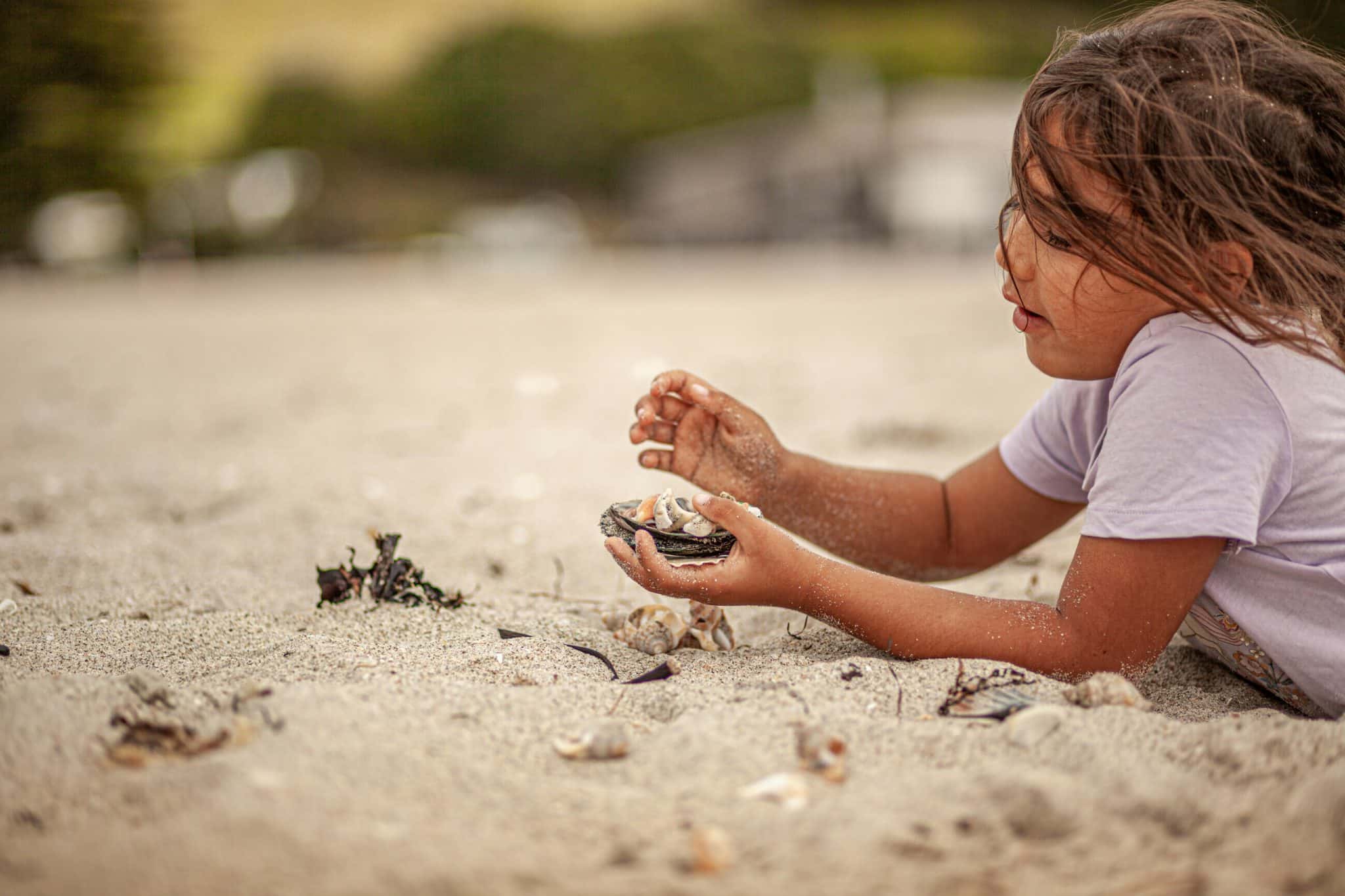 KiwiSaver Booster login • Cole Murray Financial Advisers